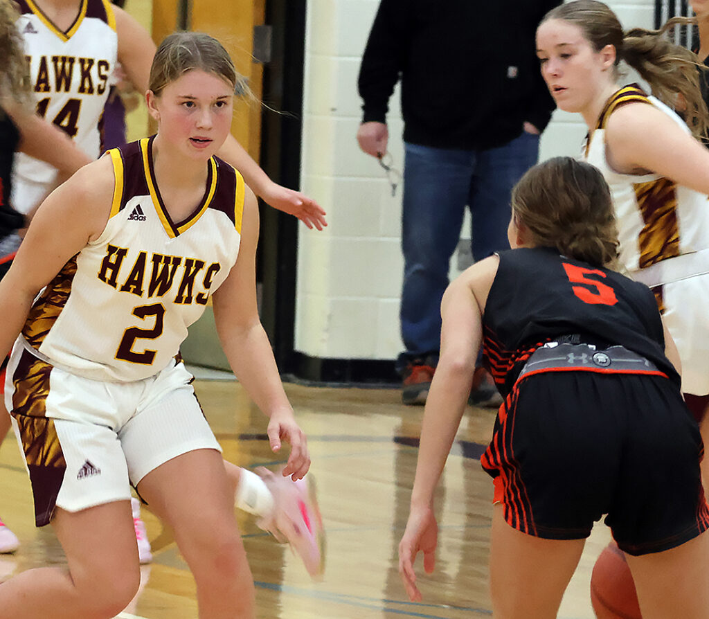 Hawk girls find the range to beat Sheldon – TheSanbornPioneer